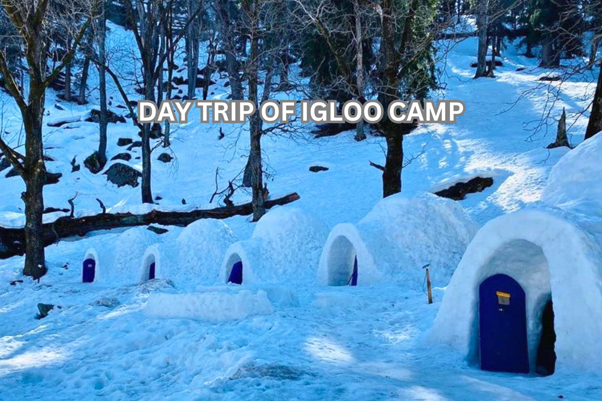 Day Trip to Igloo Camp Manali - Explore Hamta Valley